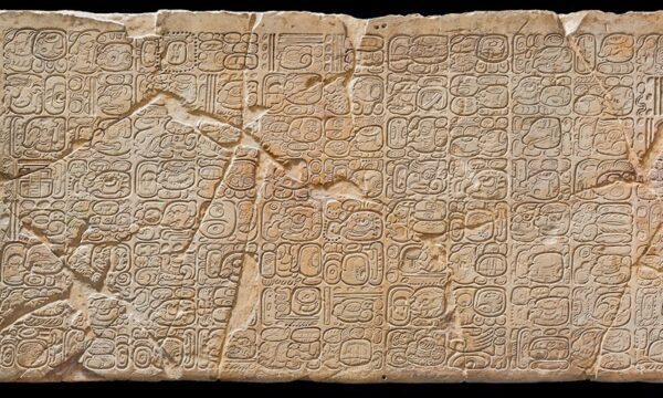 Deciphering the Mayan Script – Art and Library